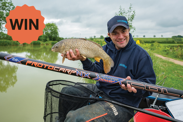 WIN! - Colmic Proto Carp NX Carpa Power Pole | Match Fishing