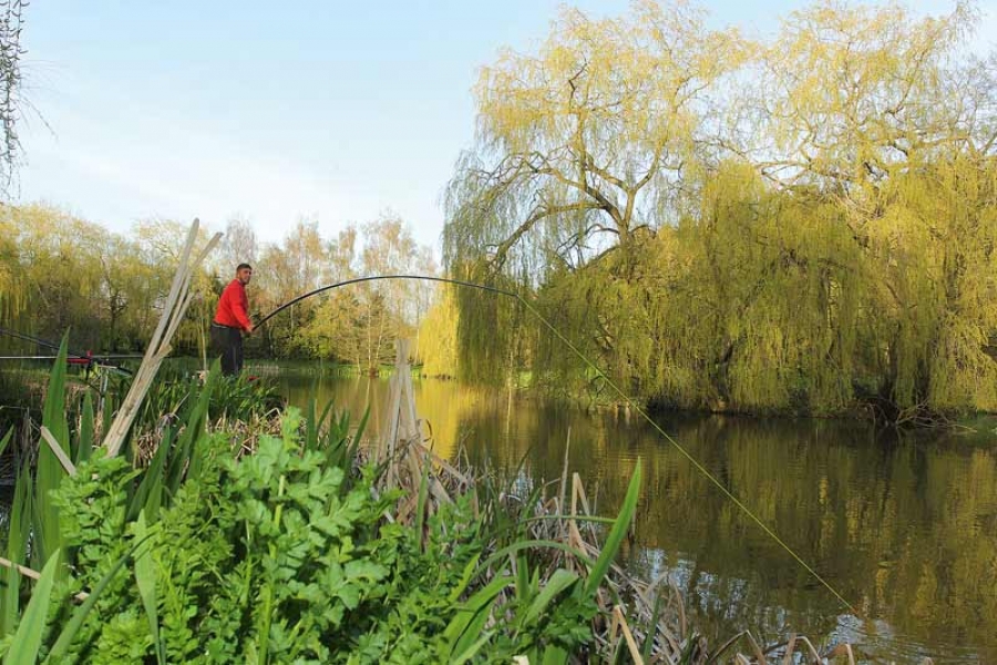 Plan Your Match! | Match Fishing