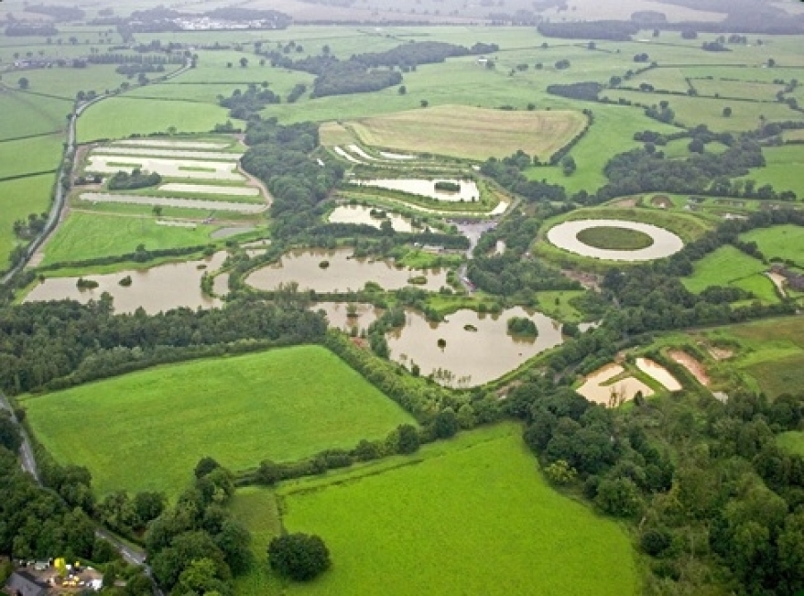 The Cudmore Revolution | Match Fishing