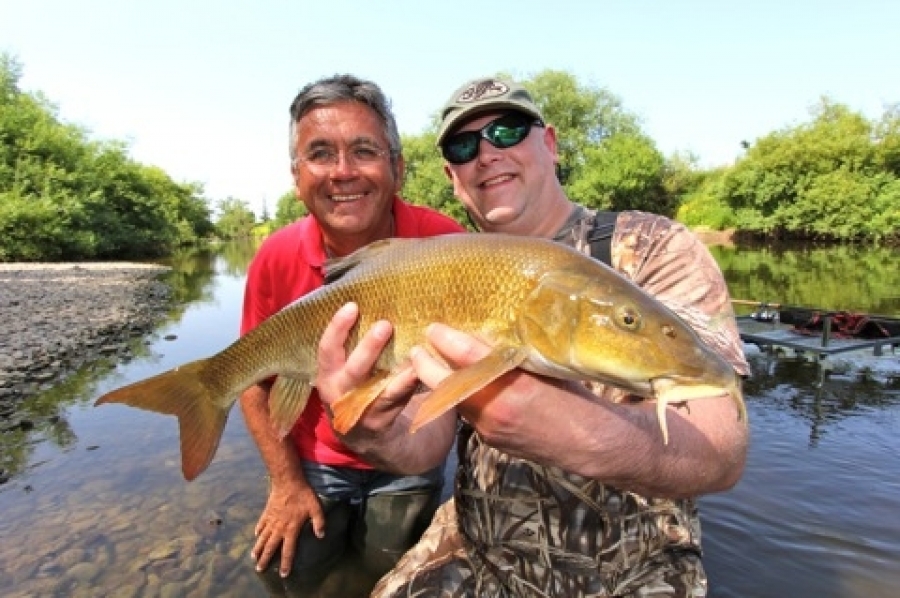 Dave Harrell Coaching Sessions! | Match Fishing