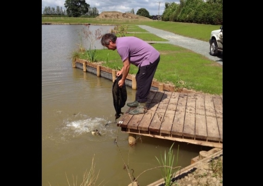 Weston Pools Spring League | Match Fishing