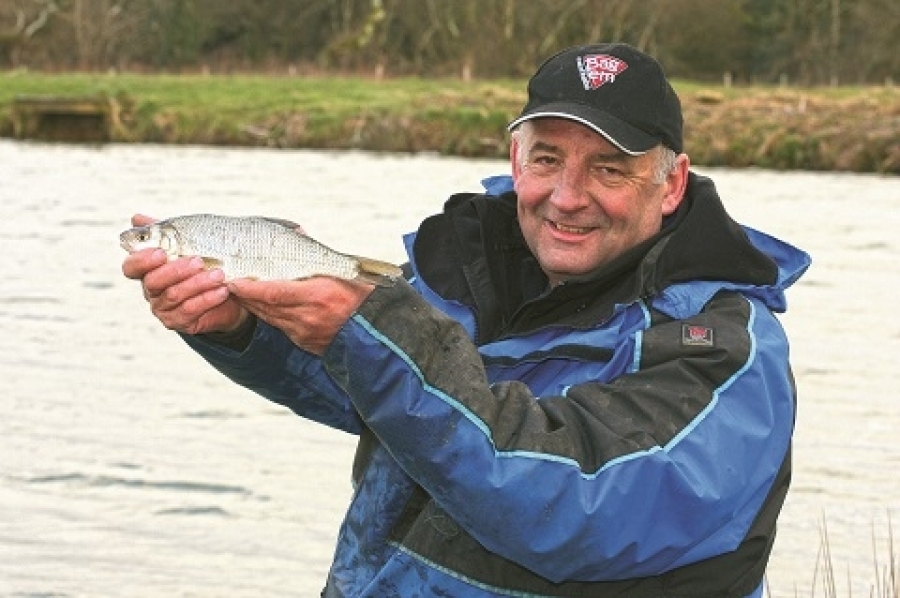 An Aging Game | Match Fishing