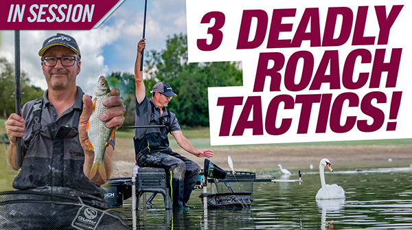 Pole Fishing For Roach - Gary Miller (Video) | Match Fishing