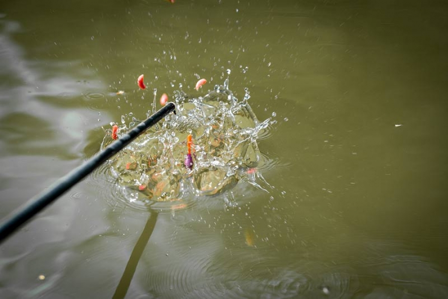 Shallow Secrets | Match Fishing